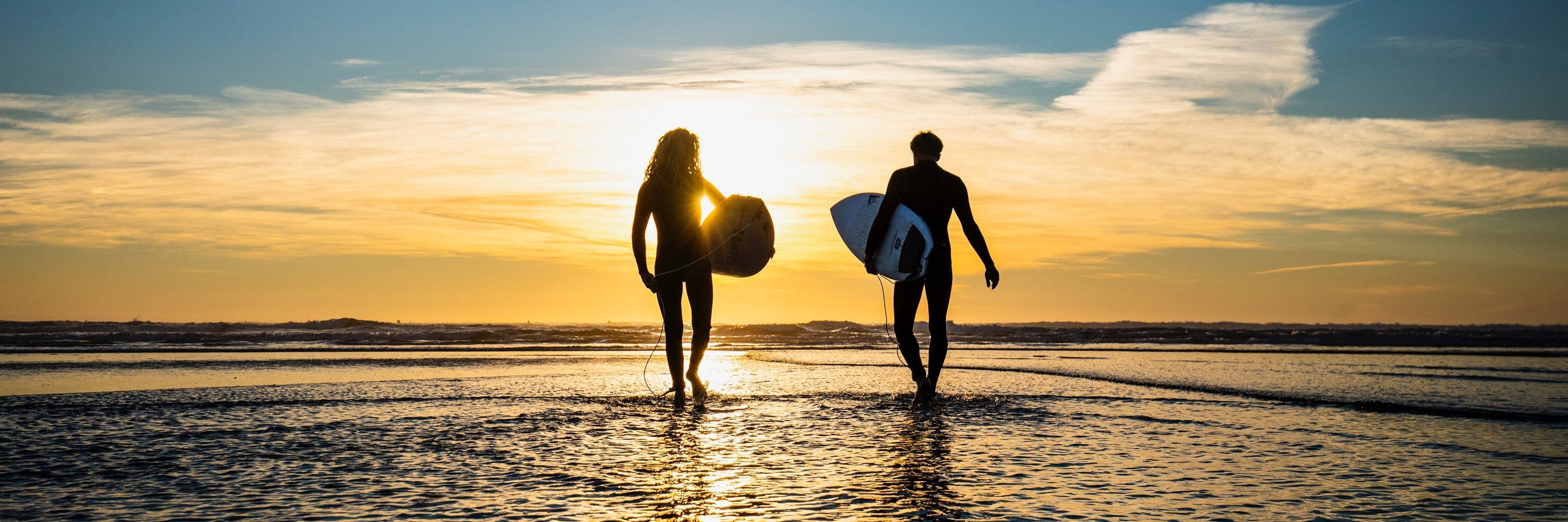 Firewire | Shop in United States
