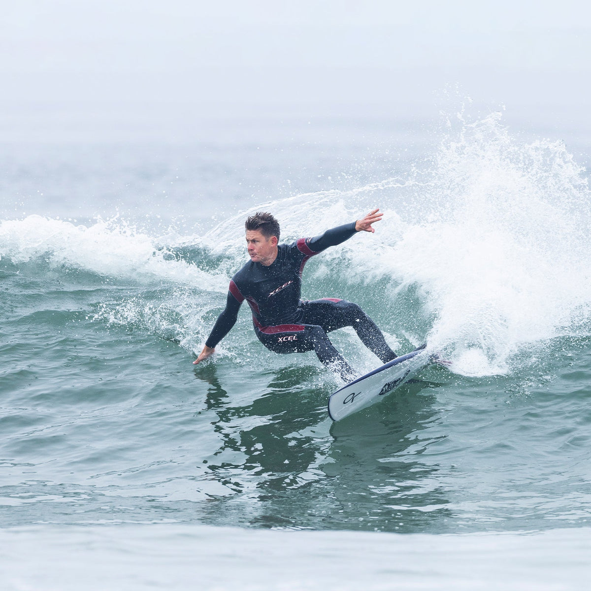 Too Fish | Shop in United States