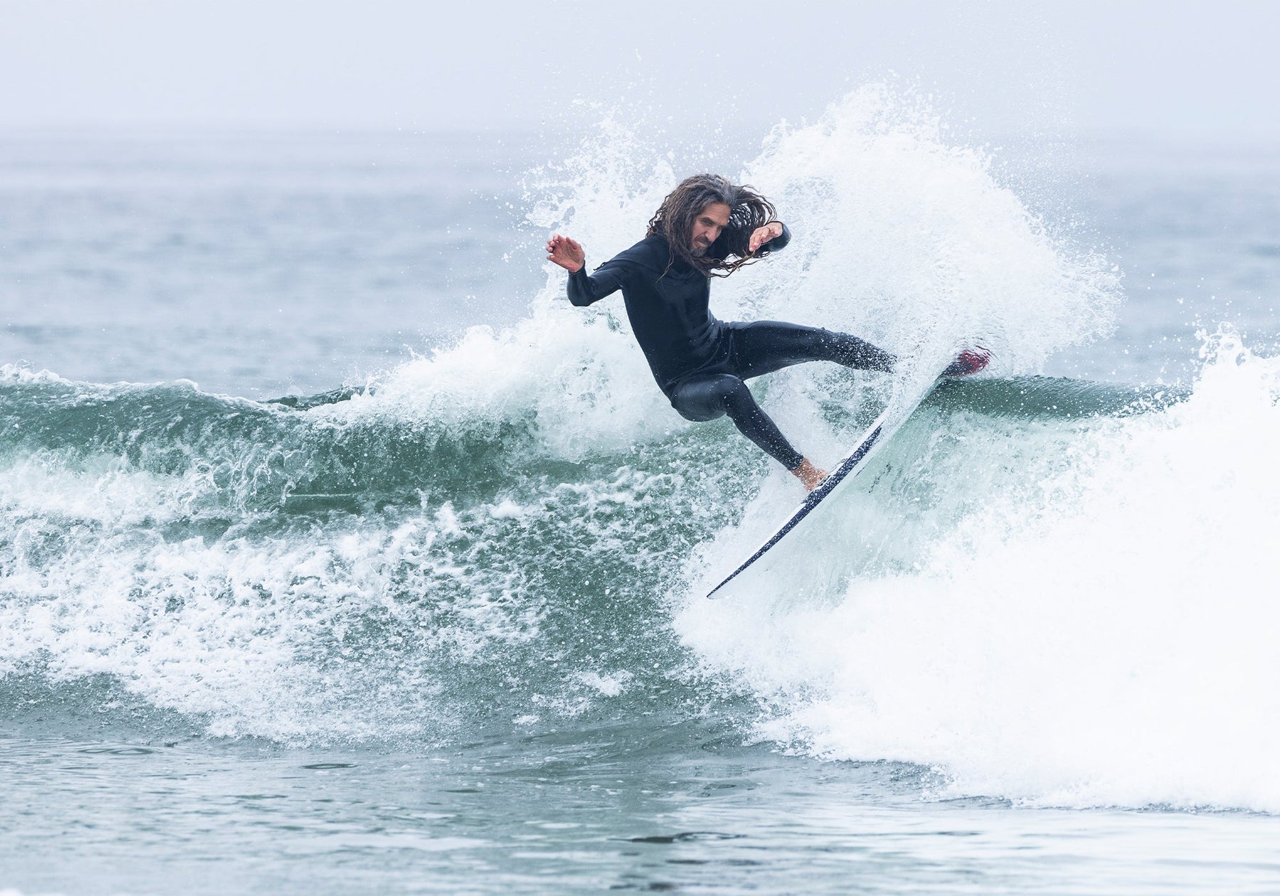 Too Fish | Shop in United States